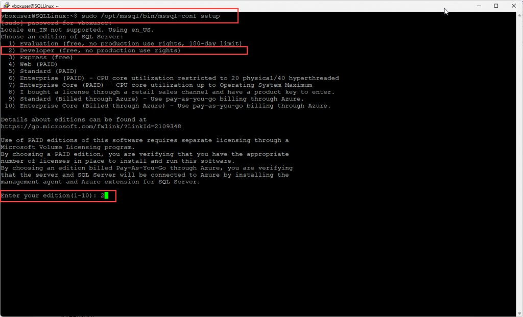 How to Create a SQL Database on a New Drive in Ubuntu – SQLServerCentral